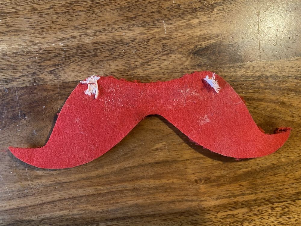 Fasnachtskostüm Obelix XXL (Gebraucht) in Wallisellen für CHF 35 – mit ...