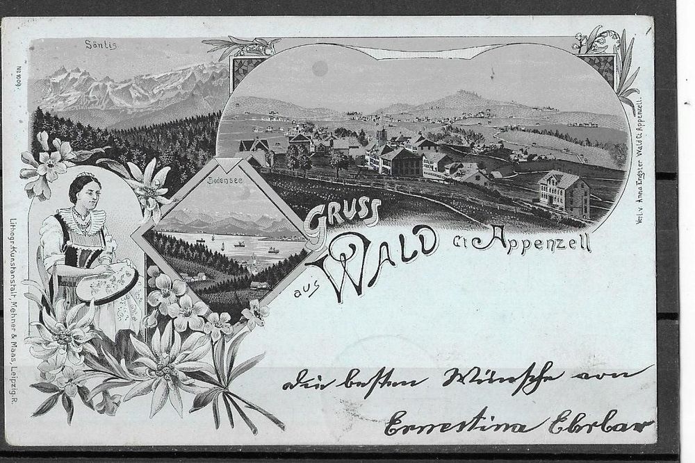 AR Gruss aus Wald 1903 (Litho) | Kaufen auf Ricardo