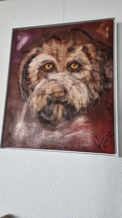 Acrylbild Hund Deco Bild Schattenrahmen (Neu und originalverpackt) in ...