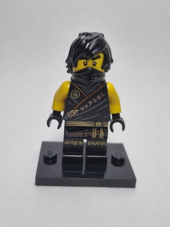 LEGO Ninjago njo575 Cole - Legacy, Rebooted, 'MANTER' Torso | Kaufen ...