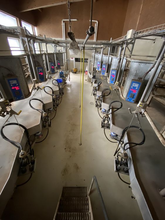 Melkstand BouMatic (Gebraucht) in Thundorf für CHF 10500 – nur Abholung ...