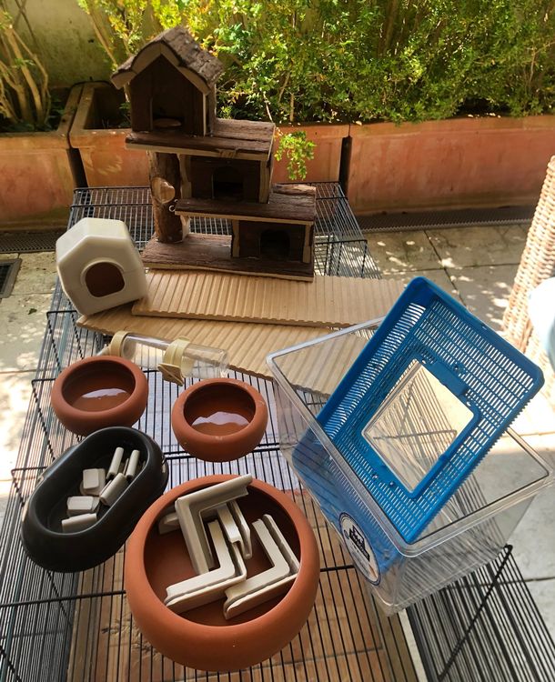 Mausekäfig (Hamster, Maus, Rennenmaus) (Gebraucht) in Zürich für CHF 75 ...