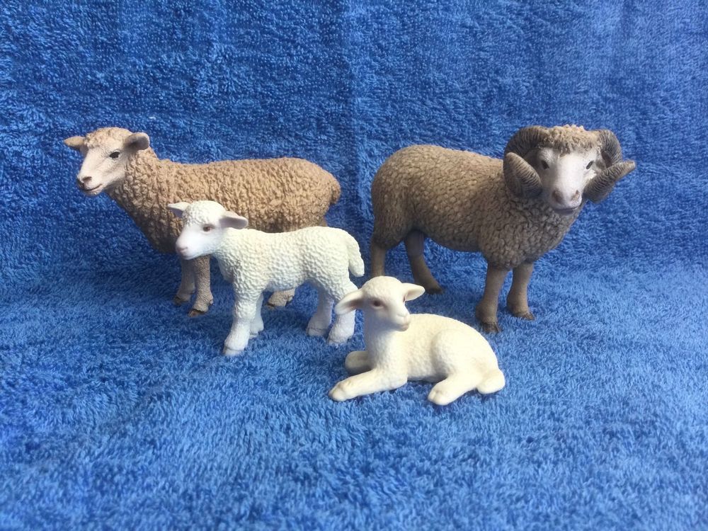 Schleich Schaf Familie. | Kaufen auf Ricardo