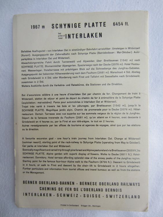 Panorama Karte Schynige Platte Berner Oberland antik (Gebraucht) in ...
