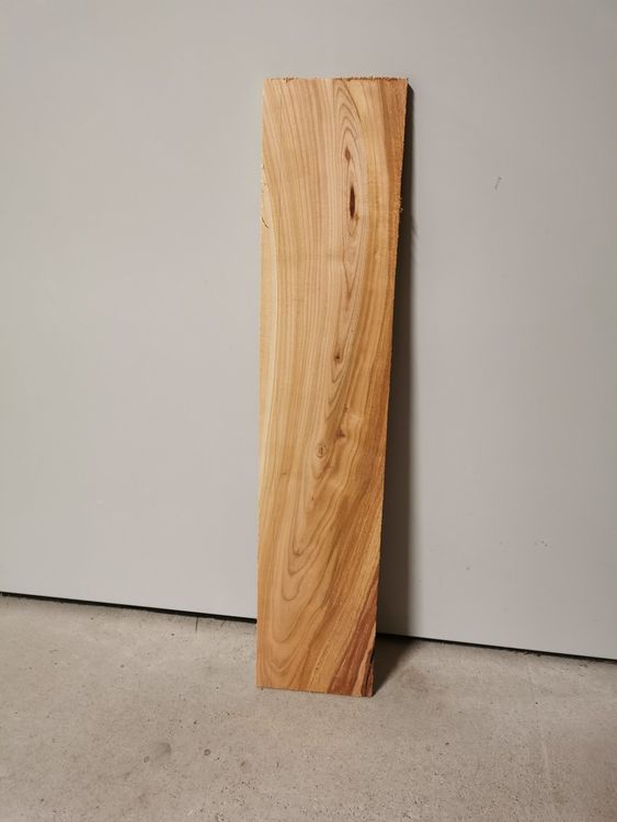 Kirschbaum Brett 1 (Gebraucht) in Rickenbach LU für CHF 10 – mit ...