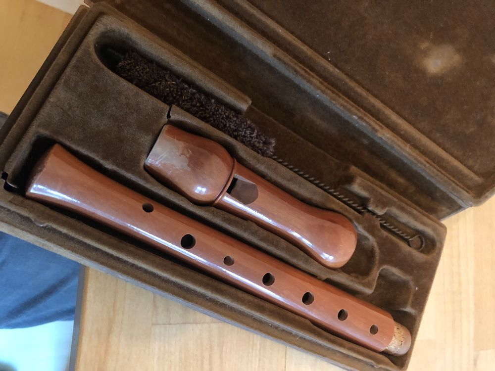 Flöte (Gebraucht) in Diepoldsau für CHF 10 – mit Lieferung auf Ricardo ...