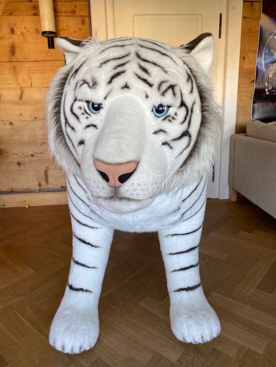 Riesiger Franz Carl Weber weißer Tiger (Gebraucht) in Speicher für CHF ...