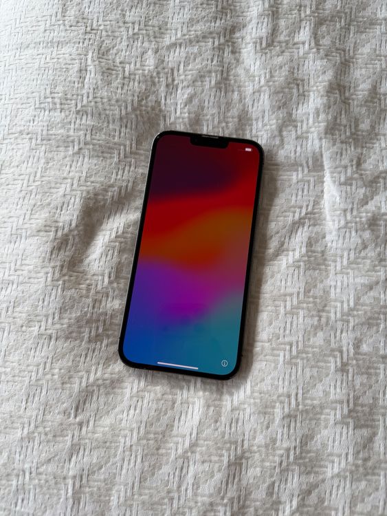 iPhone 13 PRO MAX 256GB Anthrazit (Gebraucht) in Beinwil am See für CHF ...