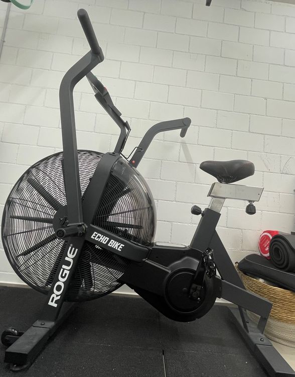 Rogue Echo Bike v2.0 (Gebraucht) in Zug für CHF 453 – nur Abholung auf Ricardo kaufen