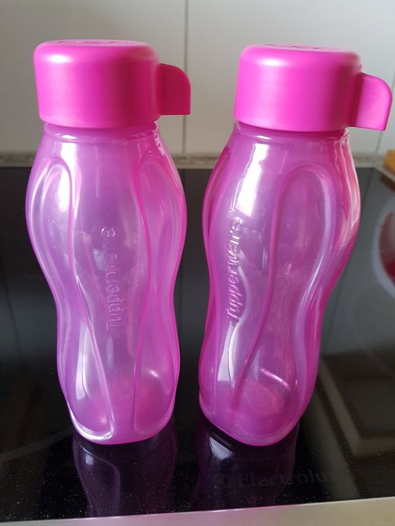 Eco Trinkflaschen 310ml (2) | Kaufen auf Ricardo