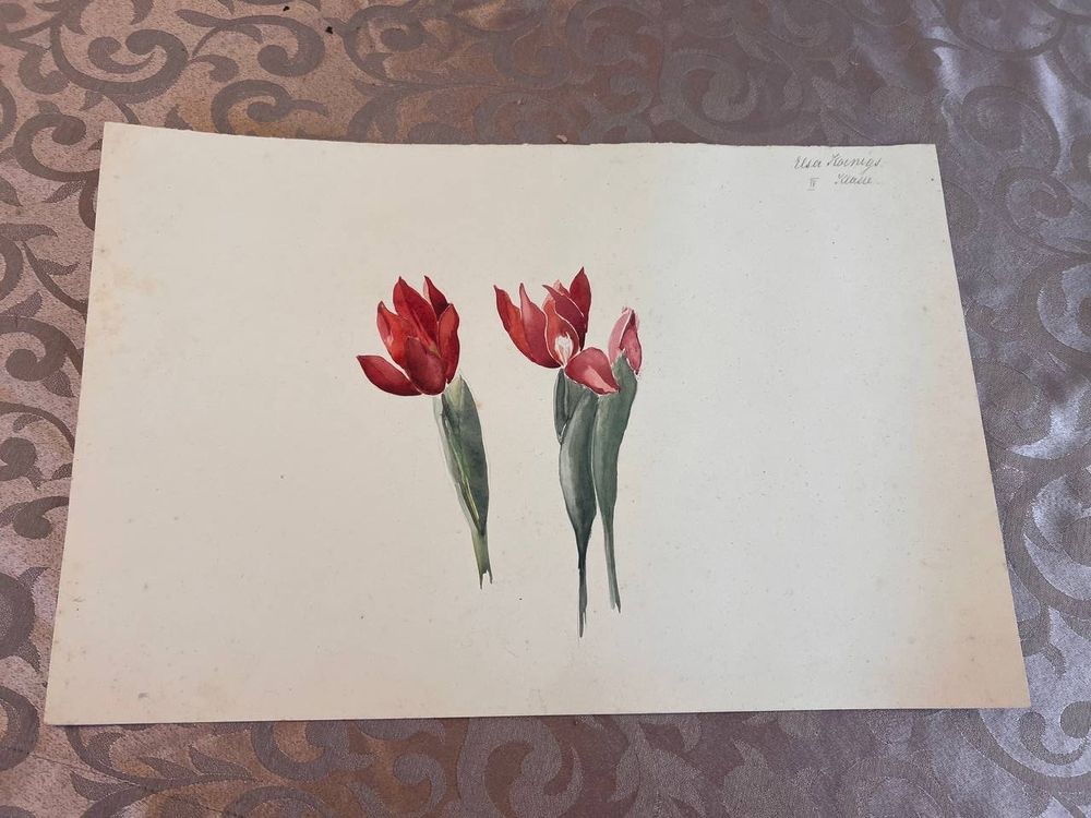 Aquarell Tulpen Frühling Blumenbild signiert(177) (Gebraucht) in Illnau-Effretikon für CHF 2 ...