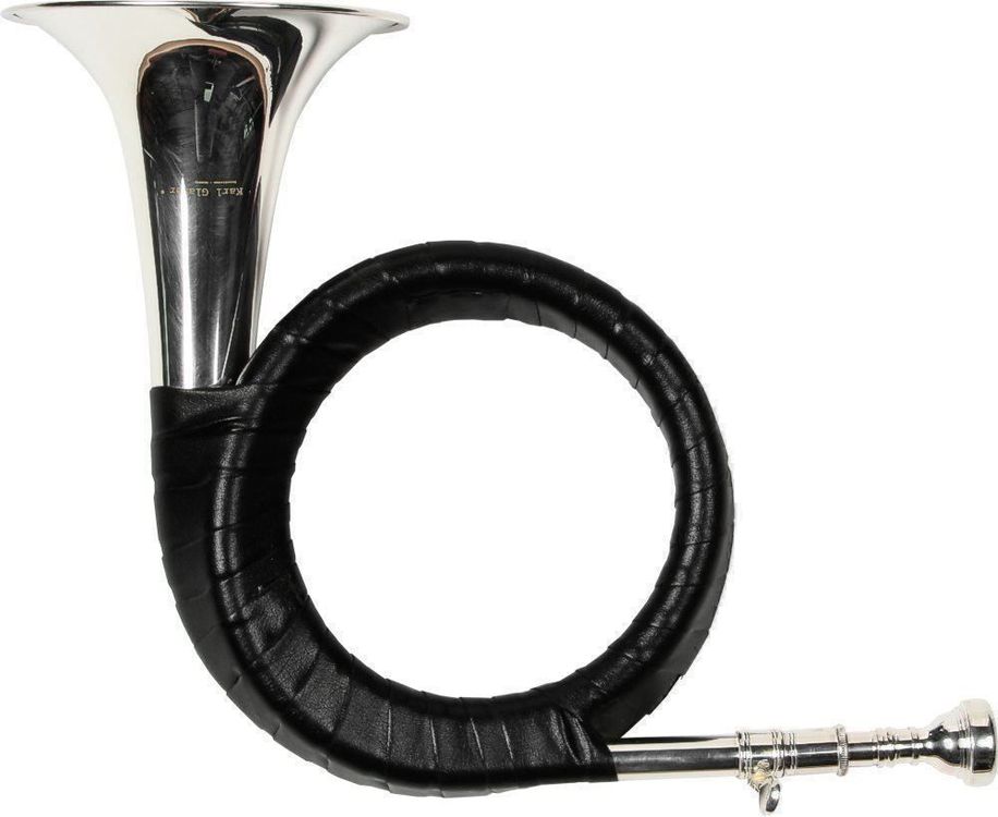 "Karl Glaser®" Fürst Pless Horn (Neu und originalverpackt) in Lostallo ...