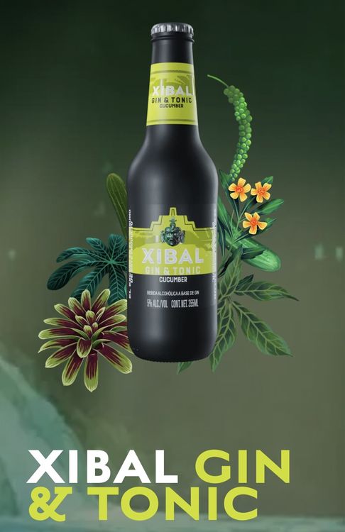 Xibal Gin & Tonic aus Guatemala (Neu und originalverpackt) in Buchrain ...