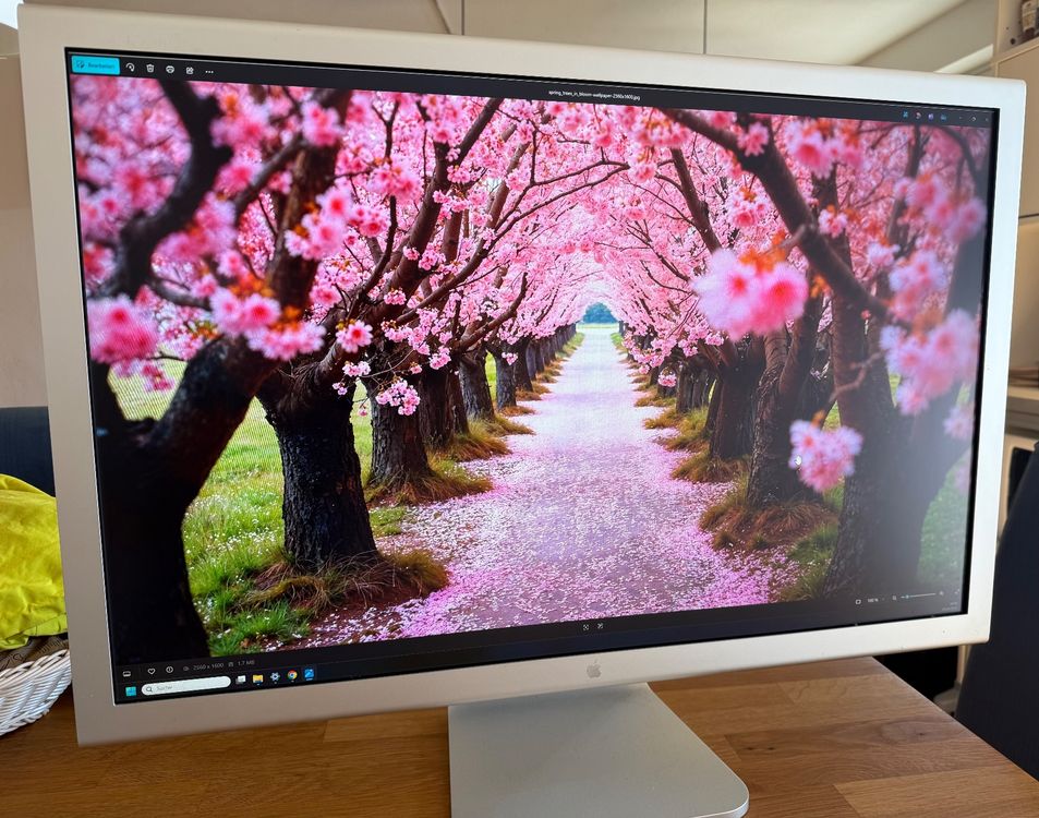 Apple Cinema Display 30" DVI | Kaufen auf Ricardo