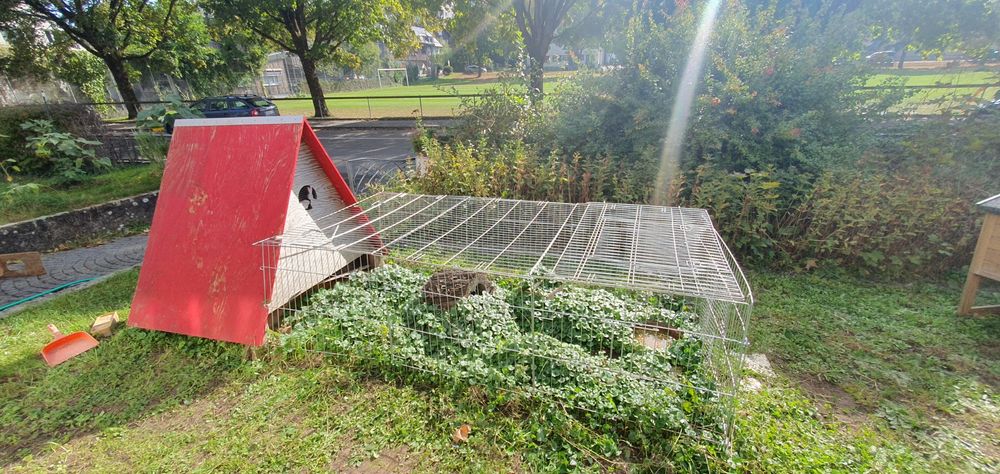 Kleintierstall mit Gehege (D'occasion) à Schaffhausen pour CHF 100 ...