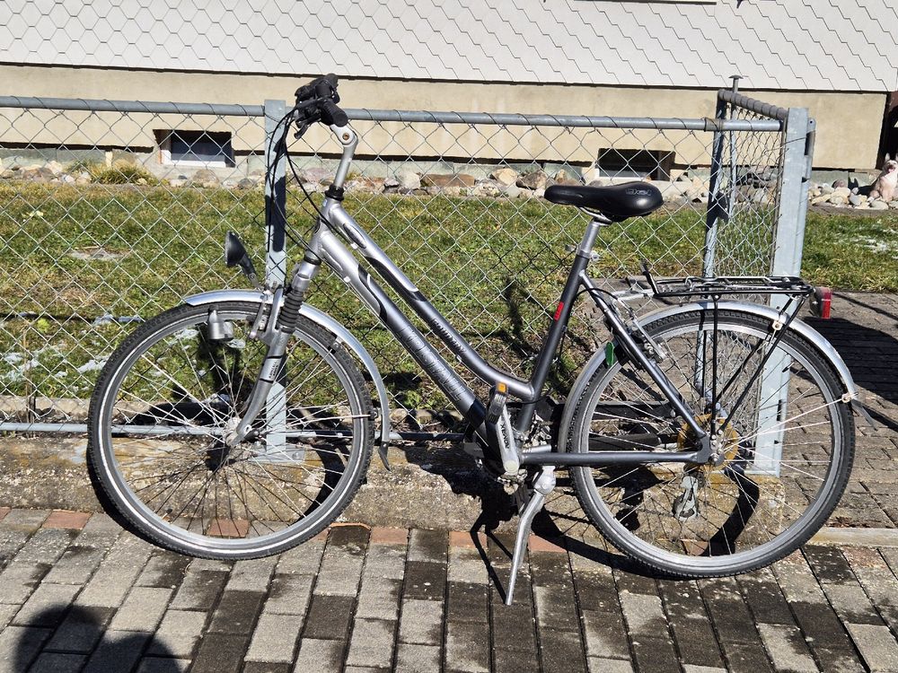 Damen Fahrrad Raddurchmesser 60 (Gebraucht) in Vilters für CHF 100 – nur Abholung auf Ricardo kaufen