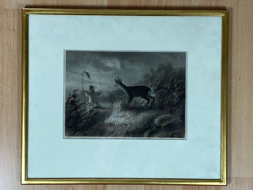 Jagd Reh Rehbock Kupferstich antik (Gebraucht) in Vaduz für CHF 43 – mit Lieferung auf Ricardo ...