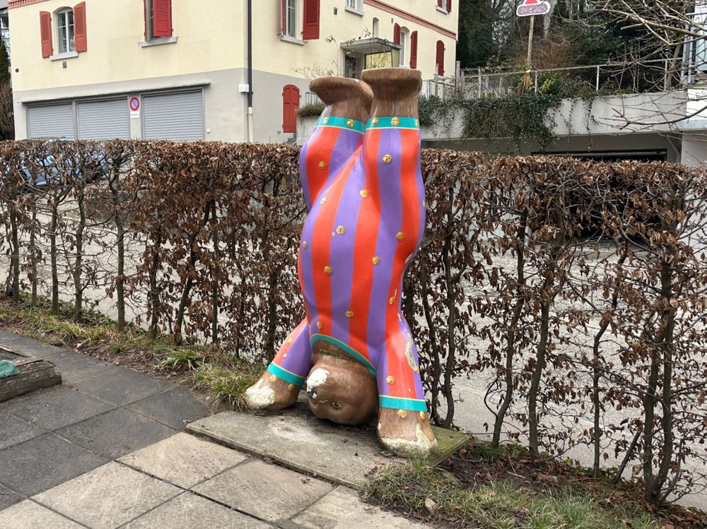 St. Gallen Bärenstark Bär (Gebraucht) in Zürich für CHF 200 – nur ...