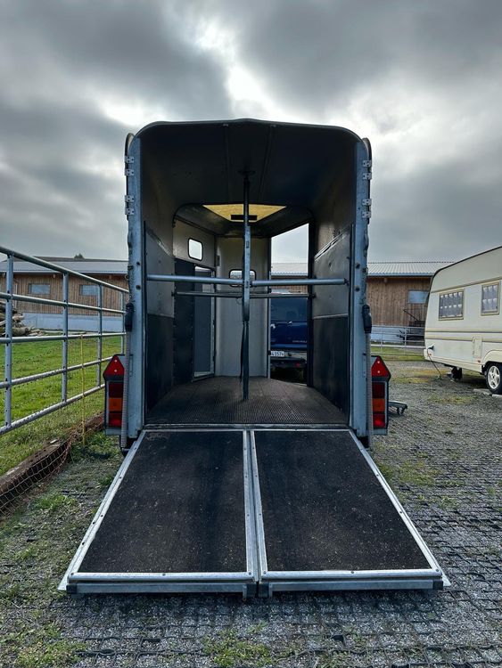 Pferdeanhänger IFOR WILLIAMS HB 505 R mit Kombirampe (Gebraucht) in ...