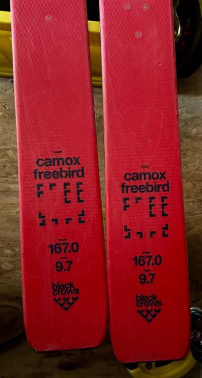 black crow camox freebird L167 W97 | Kaufen auf Ricardo