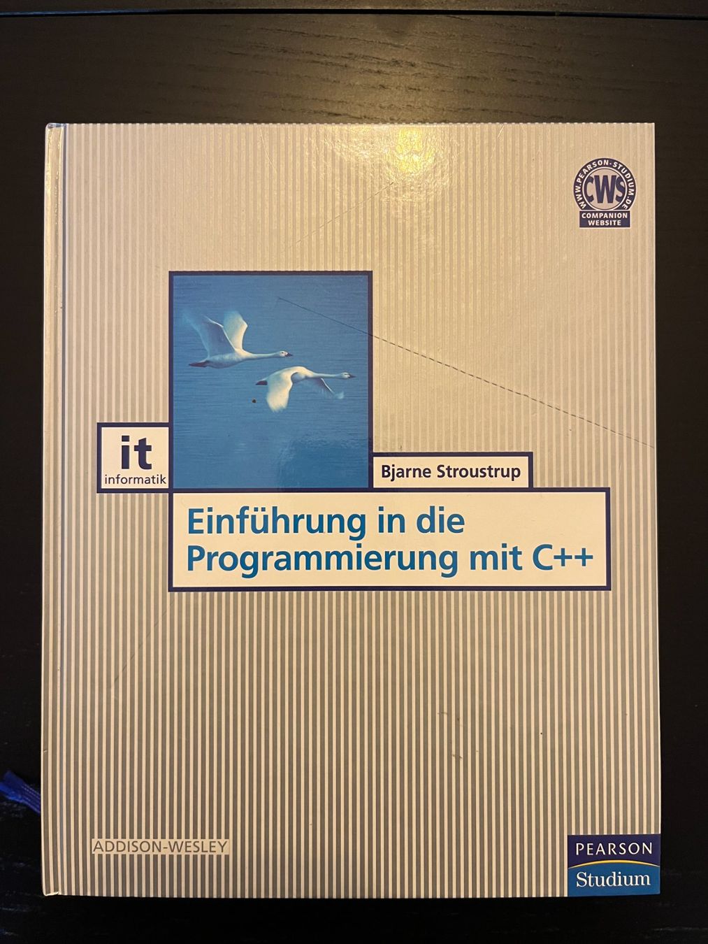 Einführung in die Programmierung mit C++ (Gebraucht) in Bern für CHF 39 ...