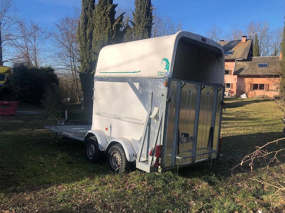 Van Cheval Liberté avec rampe(porte calèche) au plus offrant (Gebraucht ...
