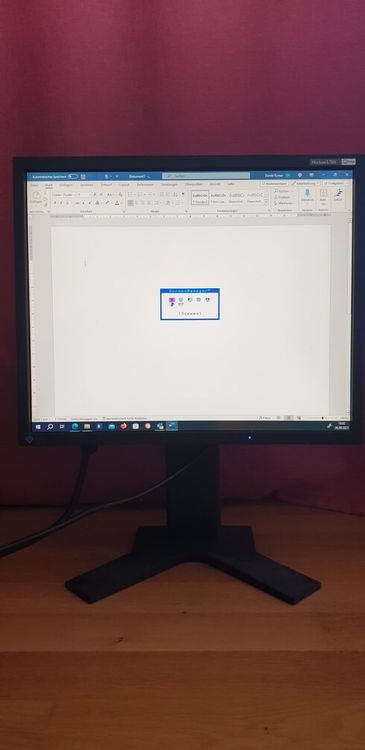 19 Zoll VGA-Monitor "funktionsfähig" (Gebraucht) in Buchs SG für CHF 5 ...