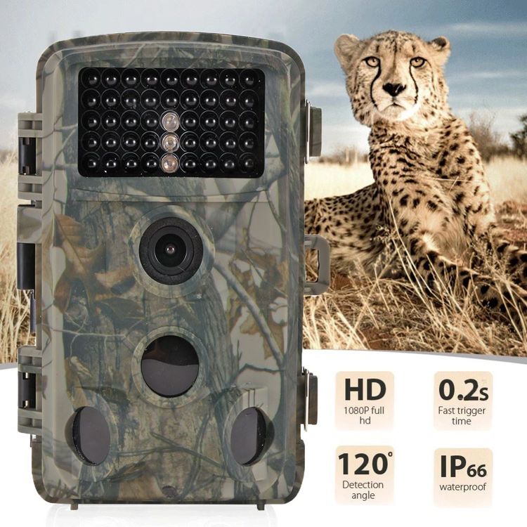 Wildkamera 12MP 1080P Bewegungsmelder (Neu (gemäss Beschreibung)) in ...