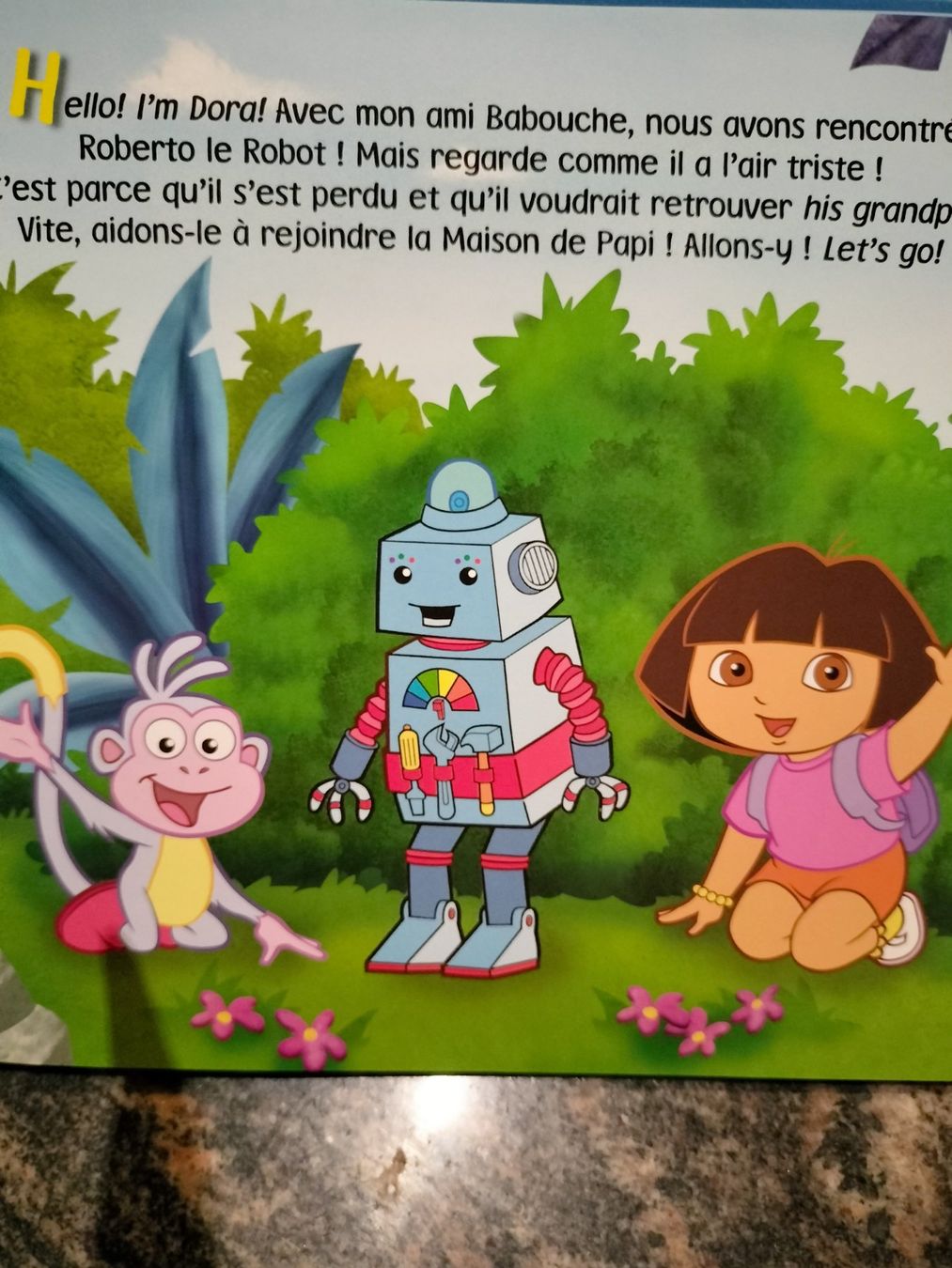 Dora et Roberto le Robot Mes livres découvertes (D'occasion) à ...