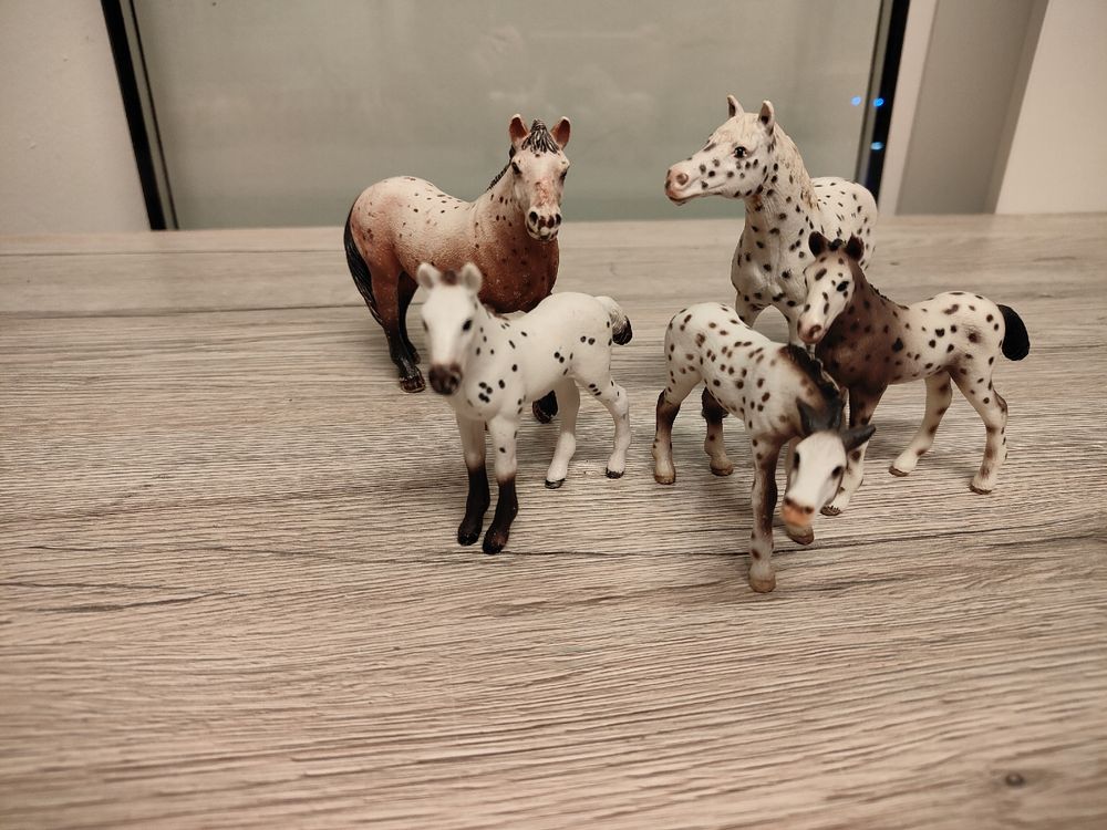 Schleich Pferde Familie Horse Club Bauernhof Knabstupper (Gebraucht) in Thalwil für CHF 20 – mit ...