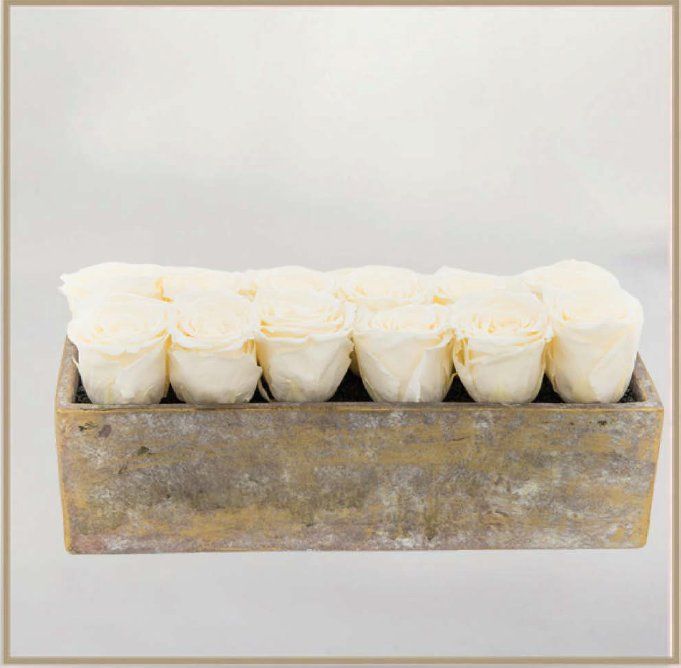 Real roses Preserved (Neu und originalverpackt) in Zürich für CHF 123 ...