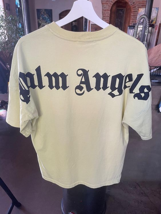Palm angles (Neu (gemäss Beschreibung)) in Ponte Tresa für CHF 35 – mit ...