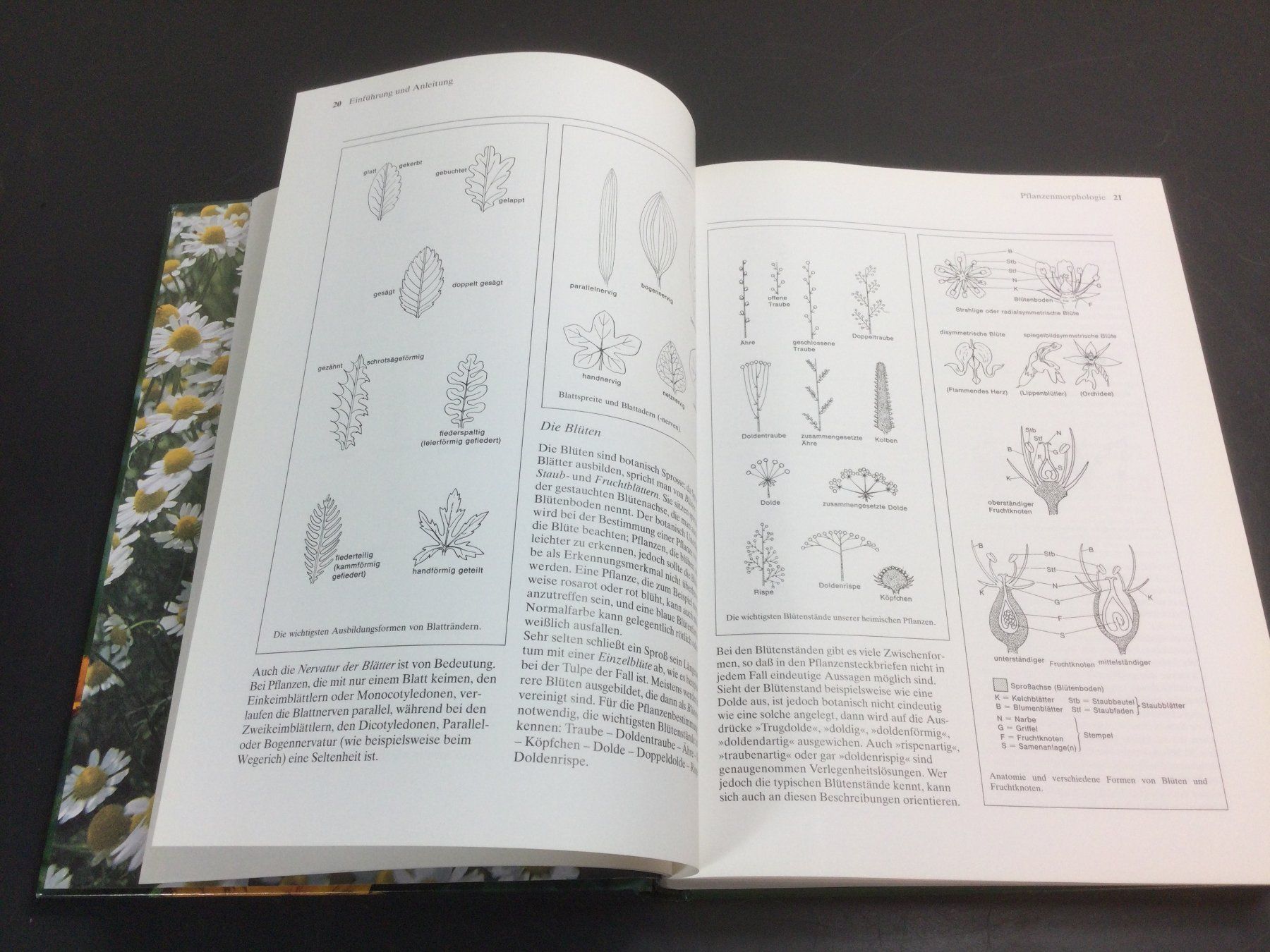 Buch Gesund durch die Heilkräfte der Natur (Gebraucht) in Wangen SZ für ...
