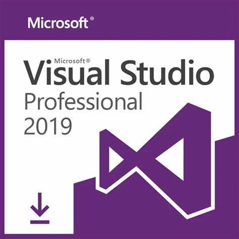 VISUAL STUDIO 2019 PROFESSIONAL - IT - KEY & DOWNLOAD– (PC) | Kaufen ...