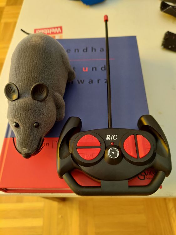 RC Maus Katzen / Hunde Spielzeug (Neu (gemäss Beschreibung)) in ...