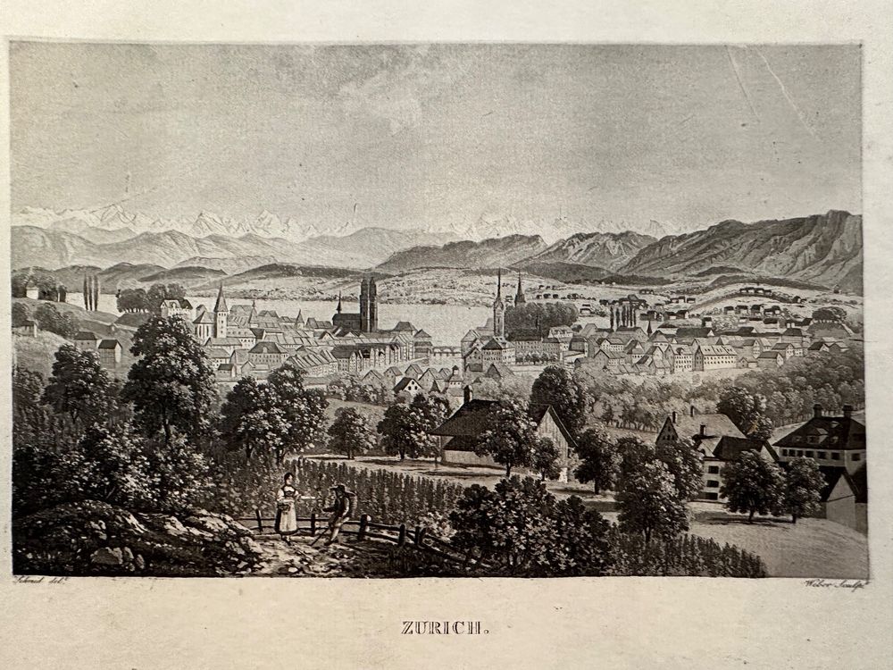 Zürich Schmid/Weber (Gebraucht) in Oberuzwil für CHF 19 – mit Lieferung auf Ricardo kaufen