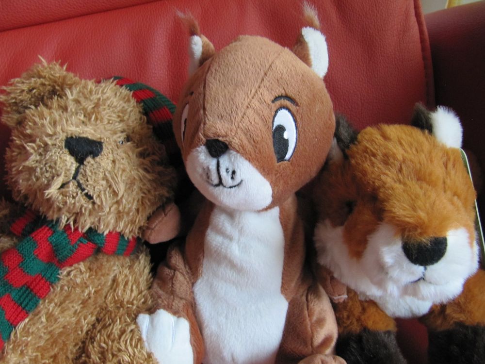 3 Plüsch-Tiere: Fuchs Eichhörnchen Teddybär (Neu (gemäss Beschreibung ...