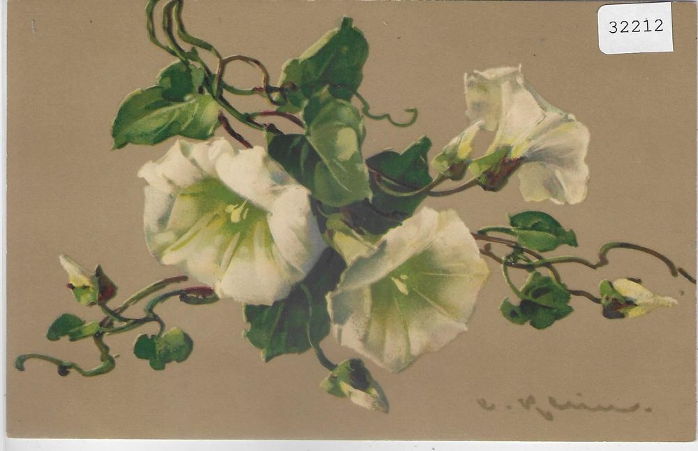 Weisse Winde - Künstler: Catharina Klein | Kaufen auf Ricardo