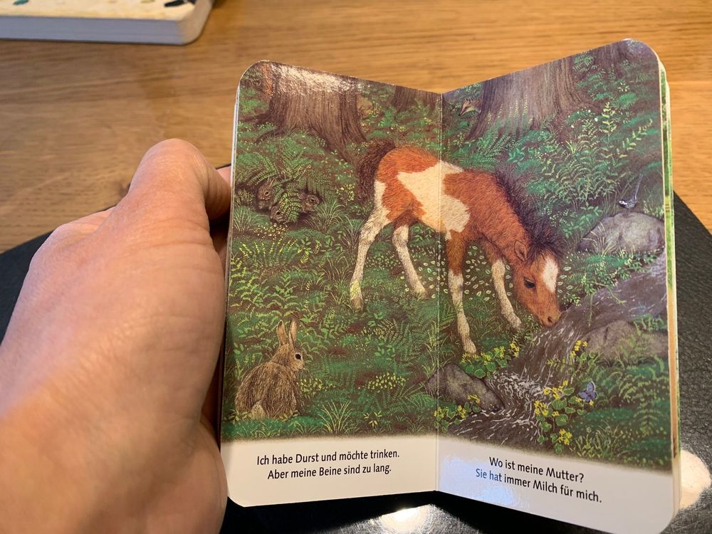 Ravensburger ich bin das kleine Pony (Gebraucht) in Gümligen für CHF 2 – mit Lieferung auf ...