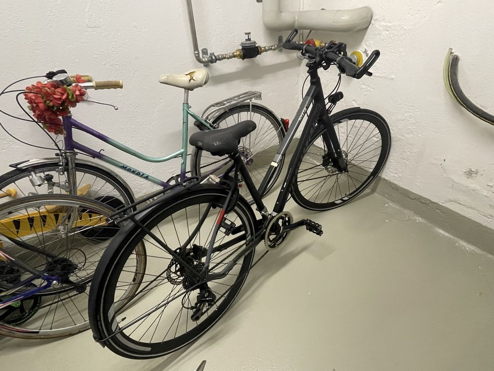 Specialized Expert Source Velo (Defekt) in Bern für CHF 69 – nur ...