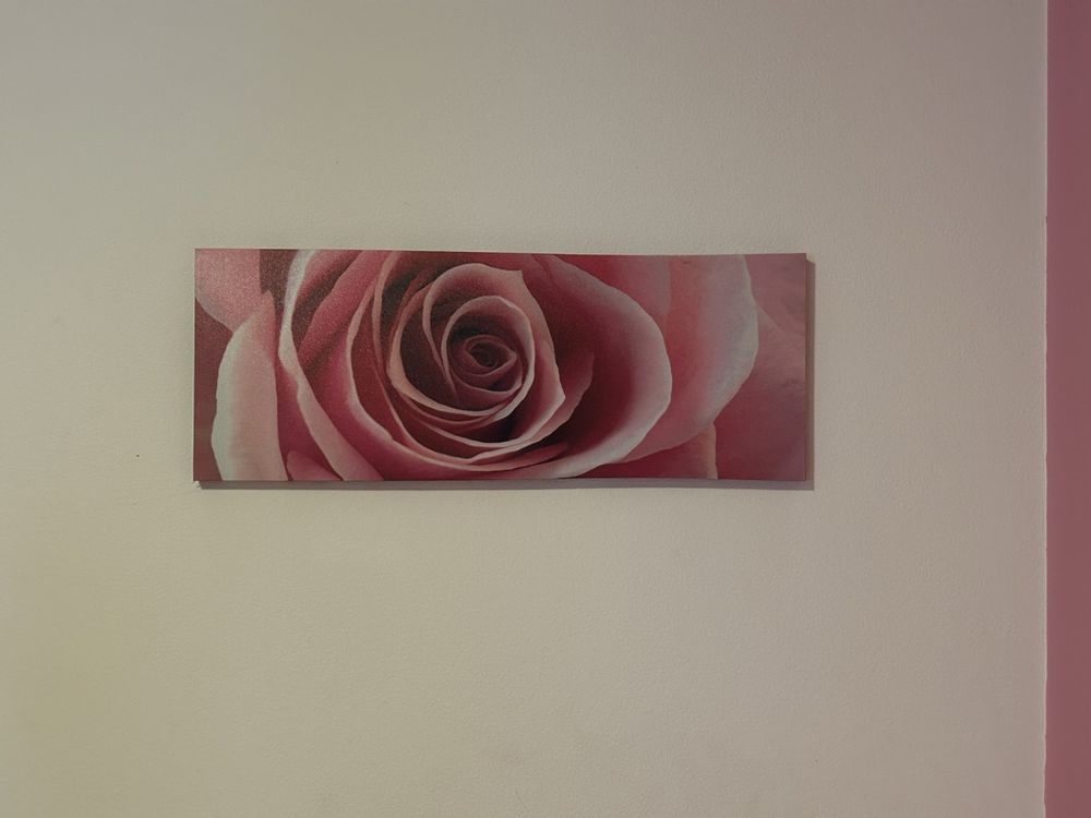 Bild | Kaufen auf Ricardo