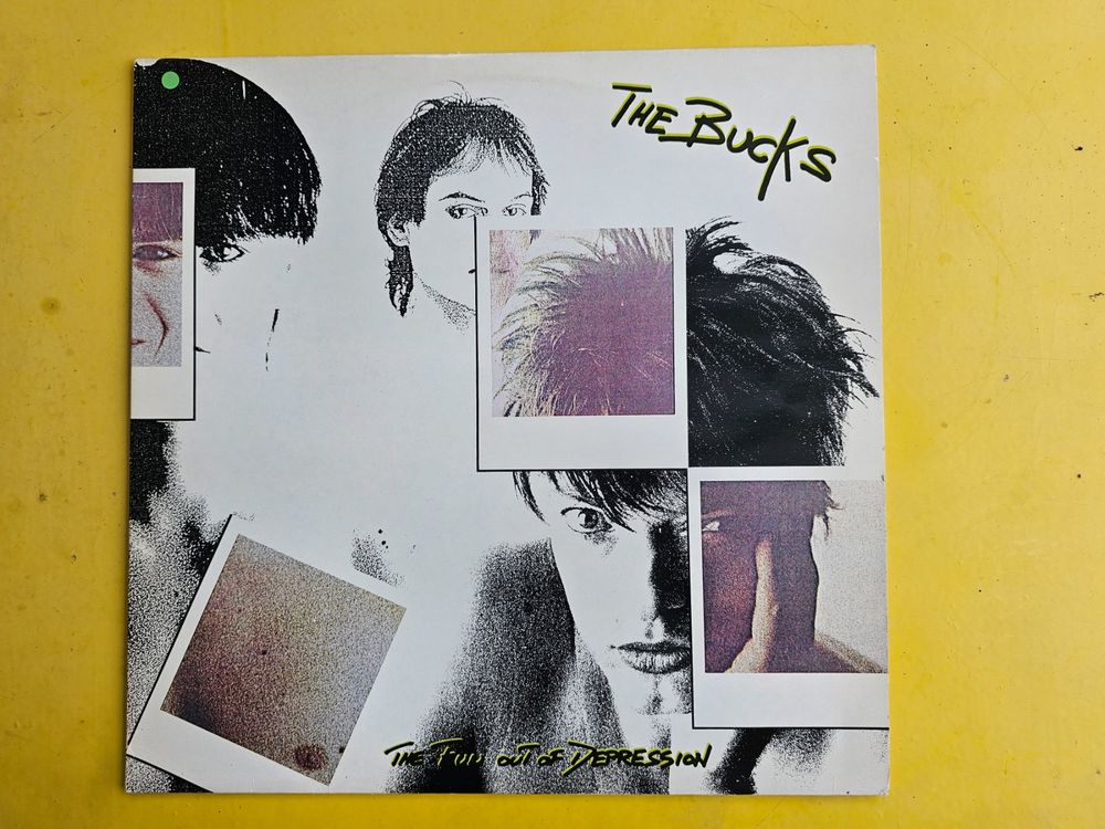 💿 The Bucks – The Fun Out Of Depression 🎧💥 (Gebraucht) in Affoltern am Albis für CHF 15 – mit ...