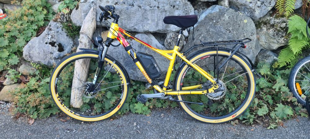 E-Bike / Mustang mit Maxon Motor | Kaufen auf Ricardo