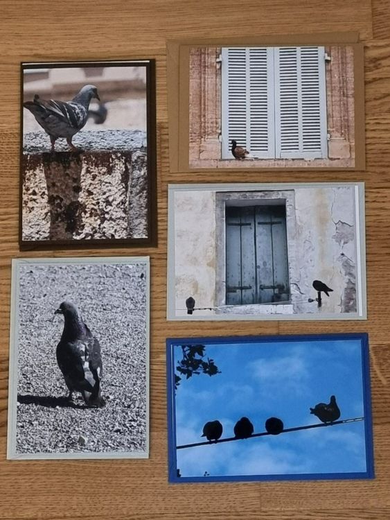 5 Karten / Motiv: Tauben (handgemacht) (Neu (gemäss Beschreibung)) in Zumikon für CHF 5 – mit ...