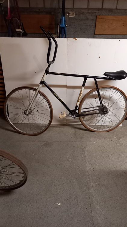Radball Velo mit Ball (Gebraucht) in Küttigen für CHF 56 – nur Abholung ...