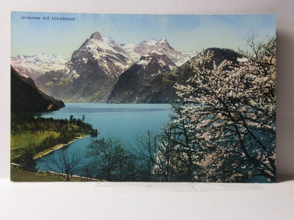 AK Urnersee mit Urirotstock (Neu (gemäss Beschreibung)) in Grenchen für ...
