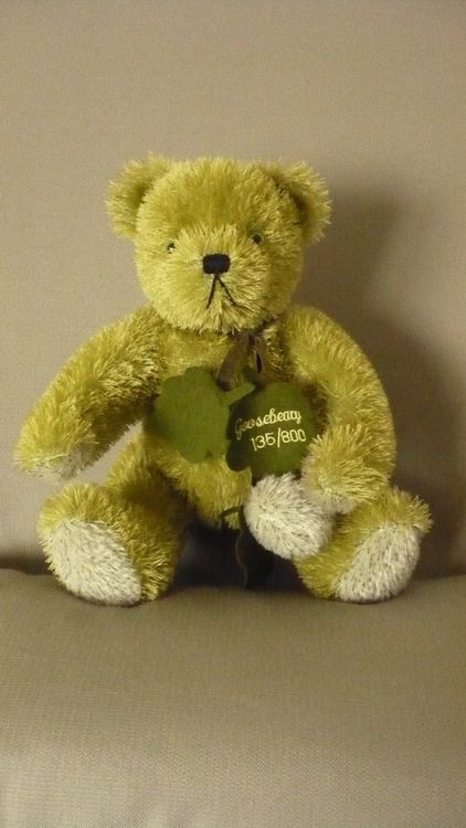 Ours Hermann vert (chataigne) (Neu (gemäss Beschreibung)) in Gilly für ...