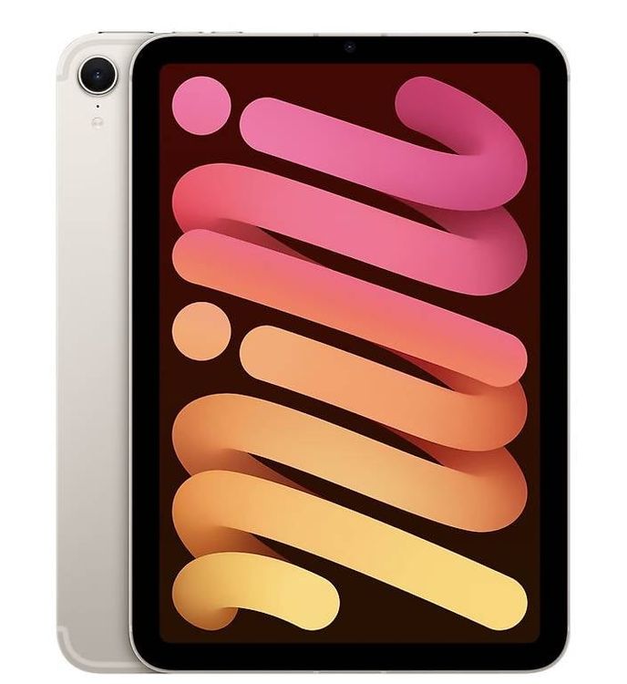 iPad mini Wi-Fi + Cellular 256 GB (Gebraucht) in Pfeffikon LU für CHF ...