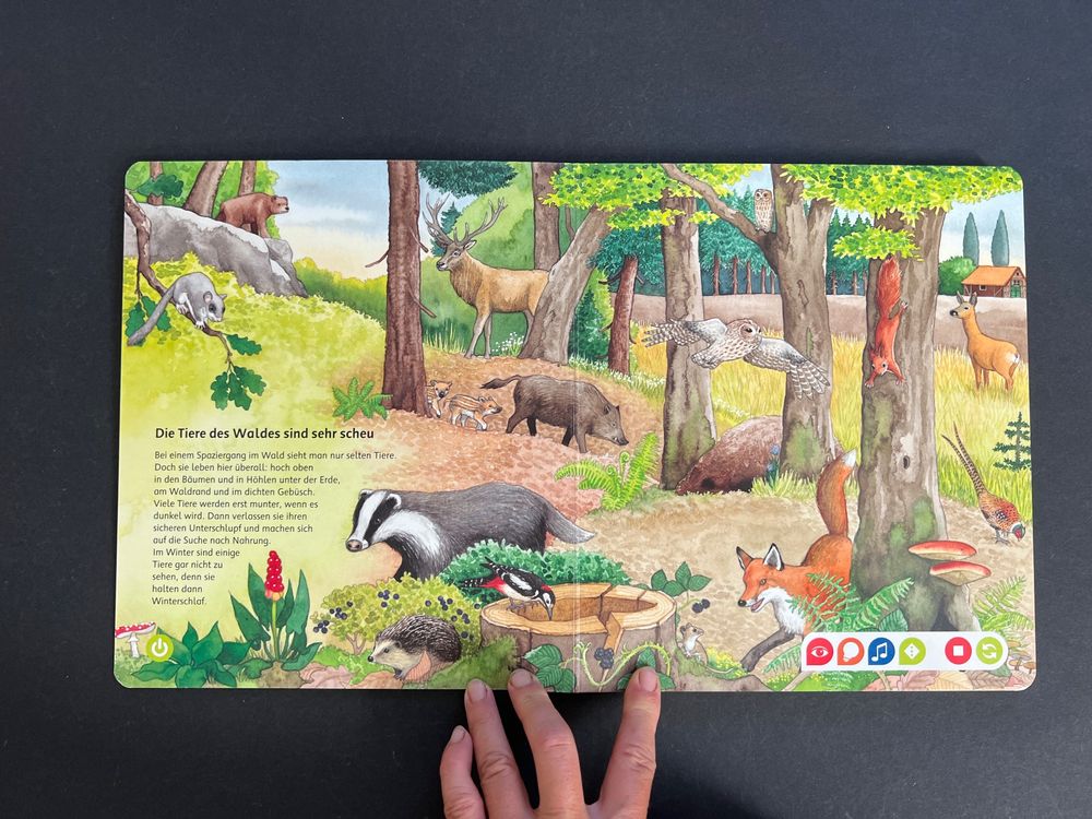 TipToi * Bilderlexikon Tiere * Tip Toi Buch (Gebraucht) in Ennetbaden ...