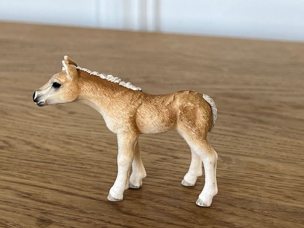 Schleich 13699 Haflinger Fohlen, stupsend Pferd (Gebraucht) in Ennetbaden für CHF 7 – mit ...
